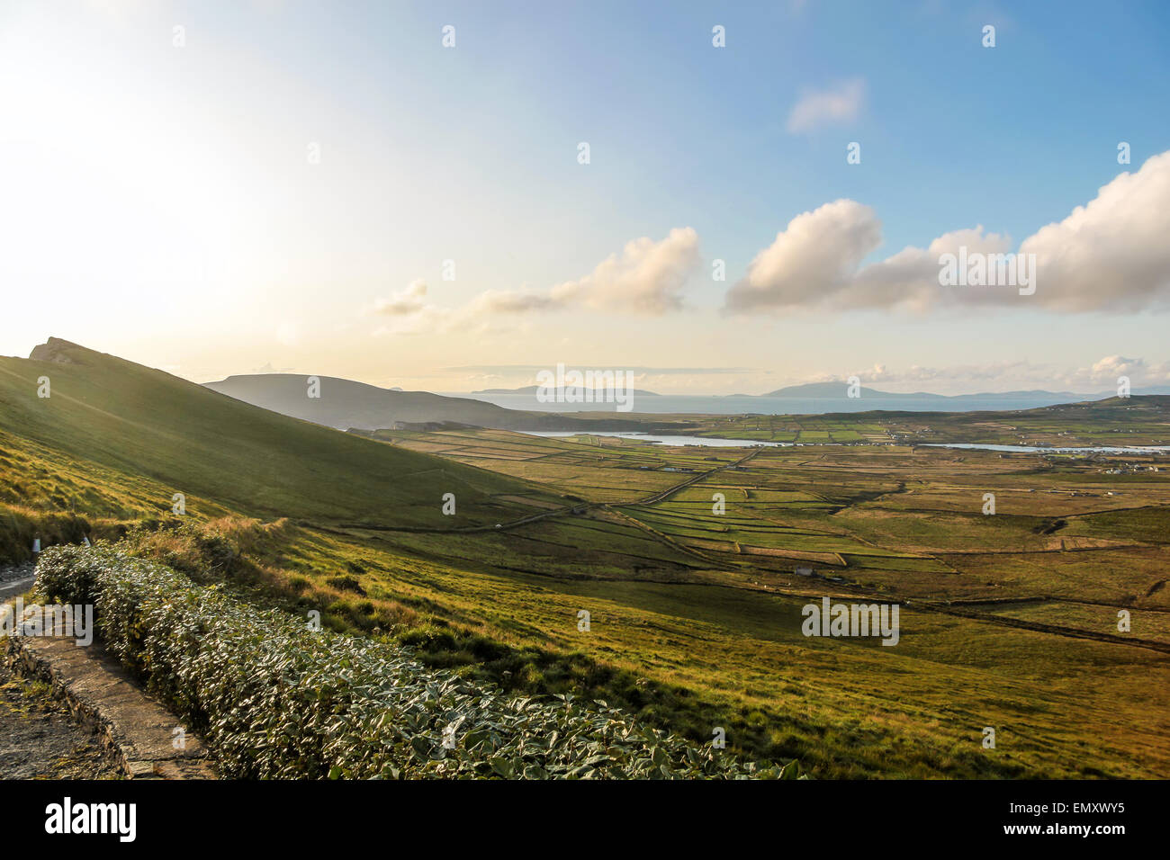 Ireland pasture hi-res stock photography and images - Alamy