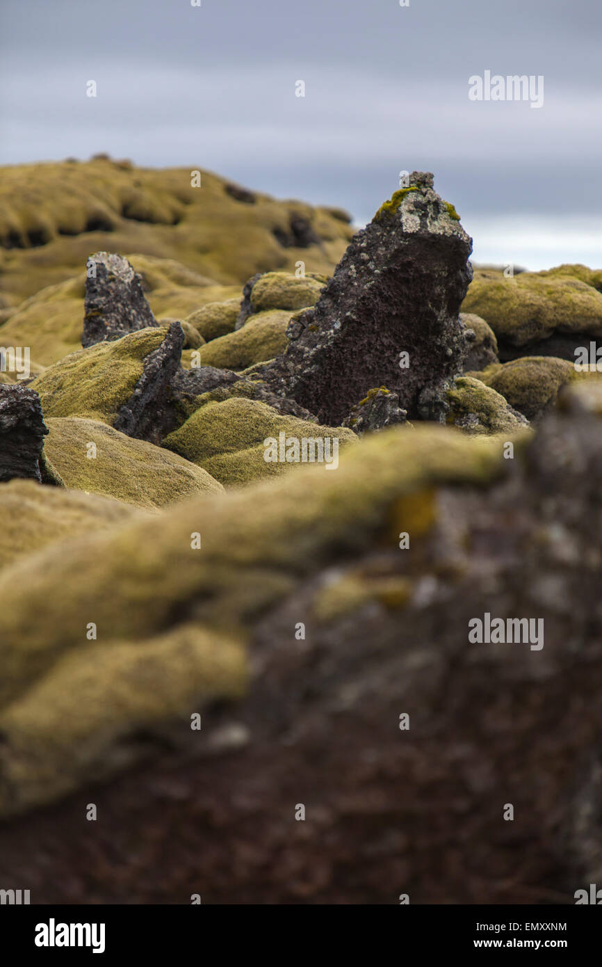 moss covered rock iceland Stock Photo - Alamy