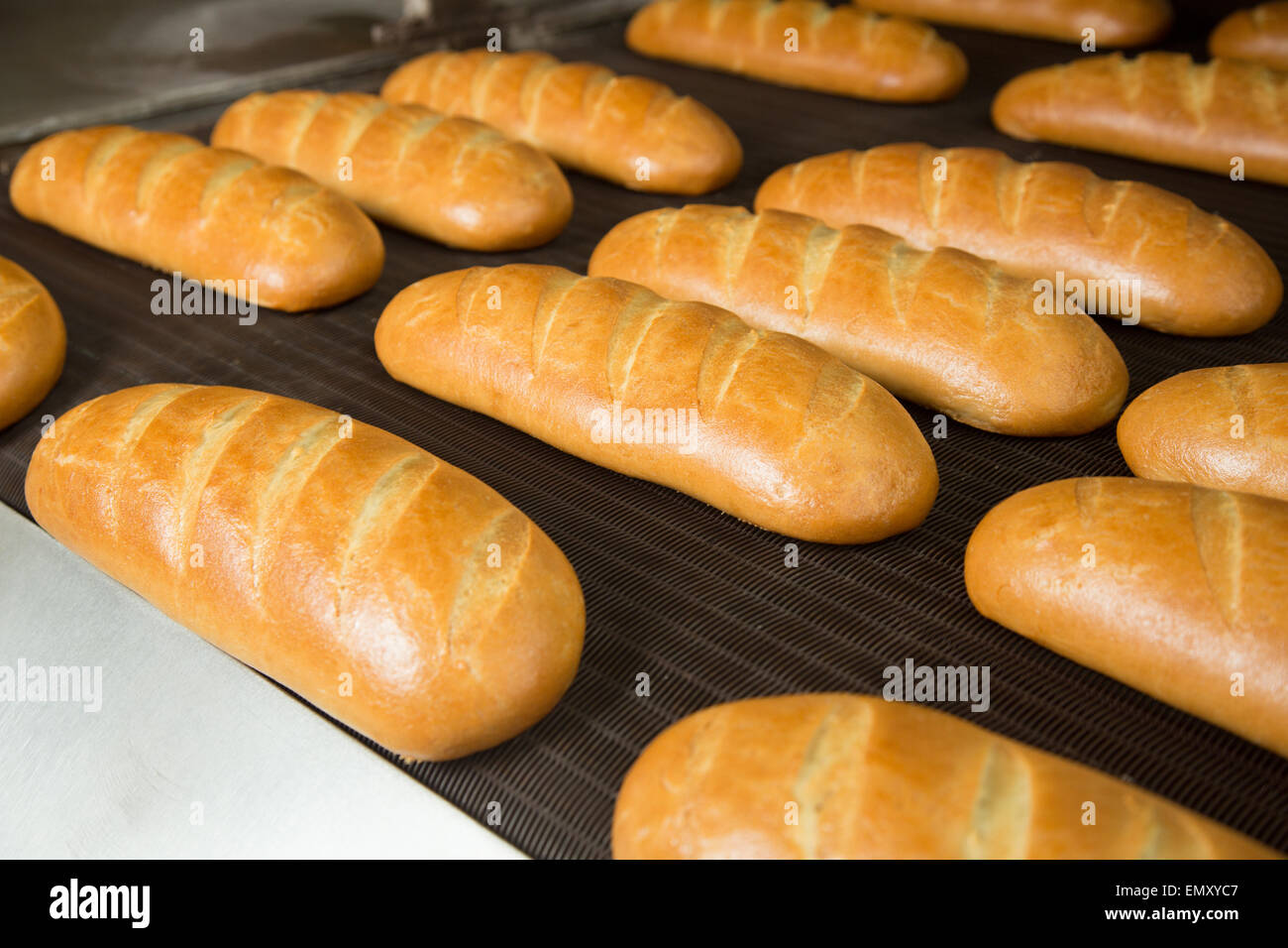 Fresh hot baked bread loafs on the production line Stock Photo - Alamy