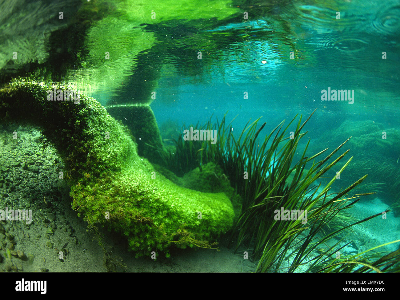 Saint susan channel underwater hi-res stock photography and images - Alamy