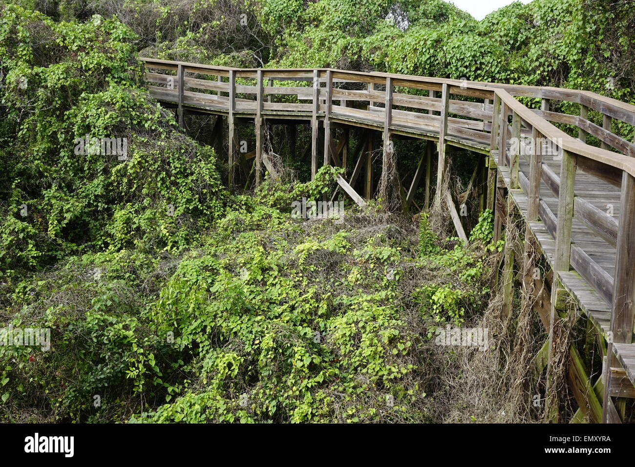 Shell mound hi-res stock photography and images - Alamy