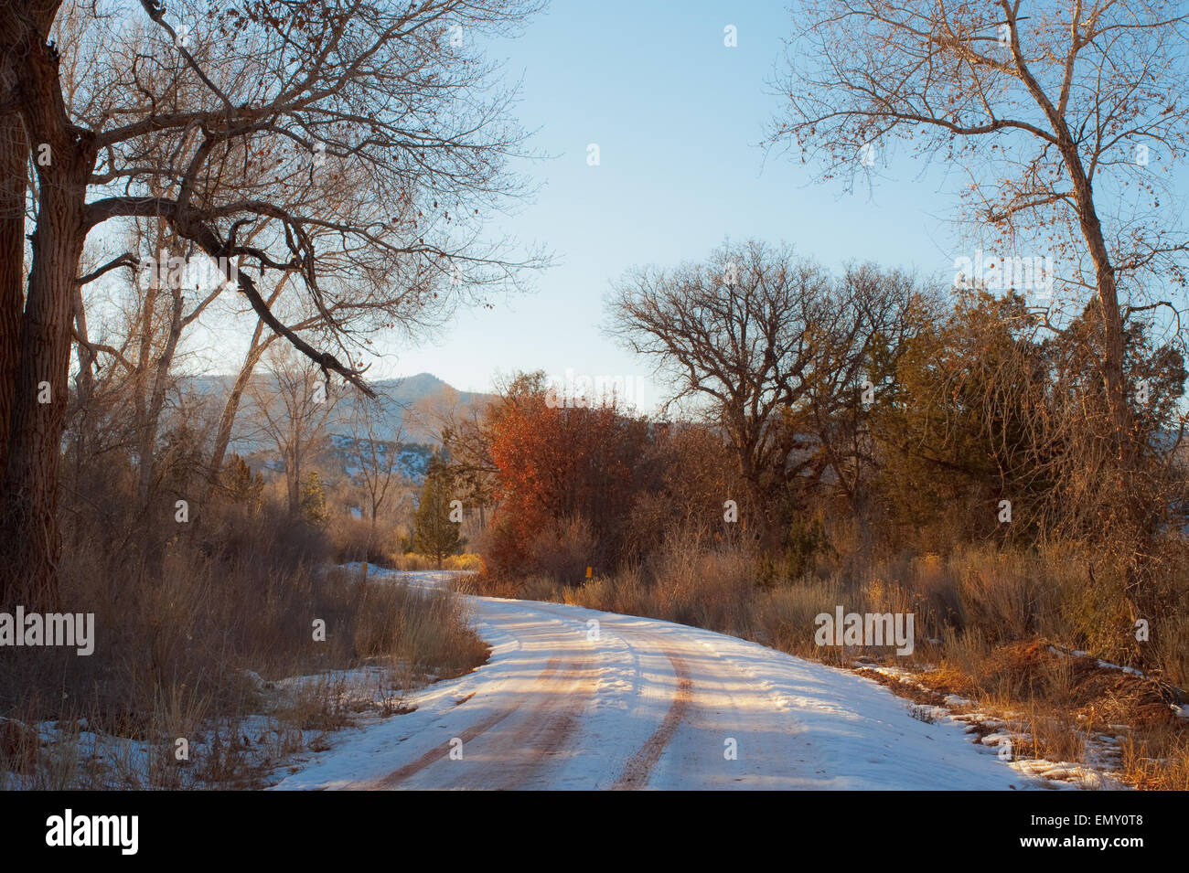 Winter road in the back country Stock Photo - Alamy