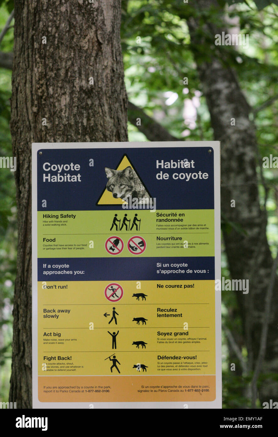 Coyote warning sign hi-res stock photography and images - Alamy