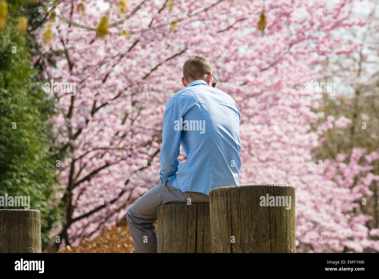 Man sitting against tree hi-res stock photography and images - Alamy