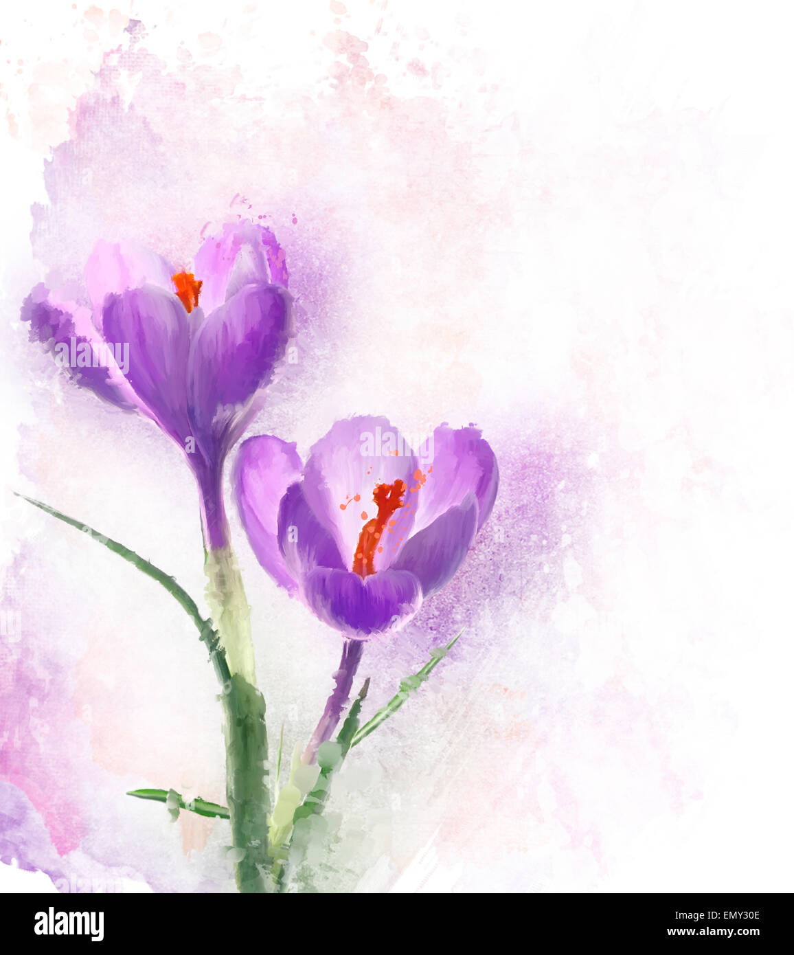 Digital Painting Of Crocus Flowers Stock Photo - Alamy