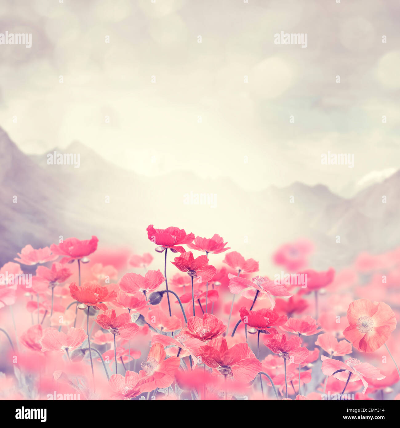 Floral background bright red hi-res stock photography and images - Alamy