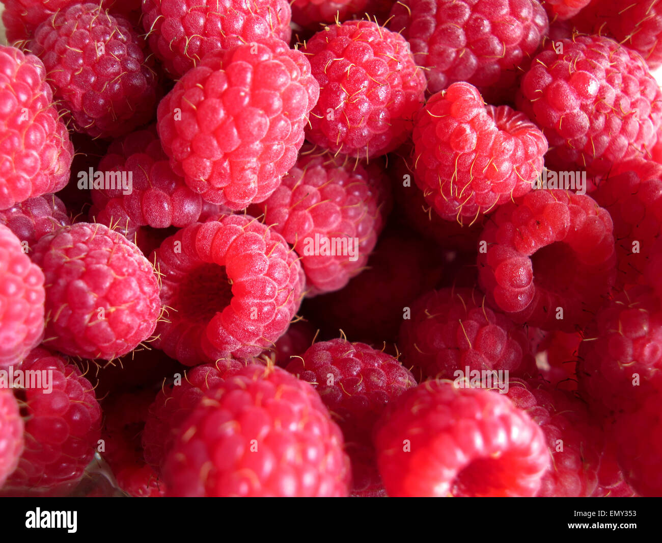 beautiful ripe raspberries fruit background Stock Photo - Alamy