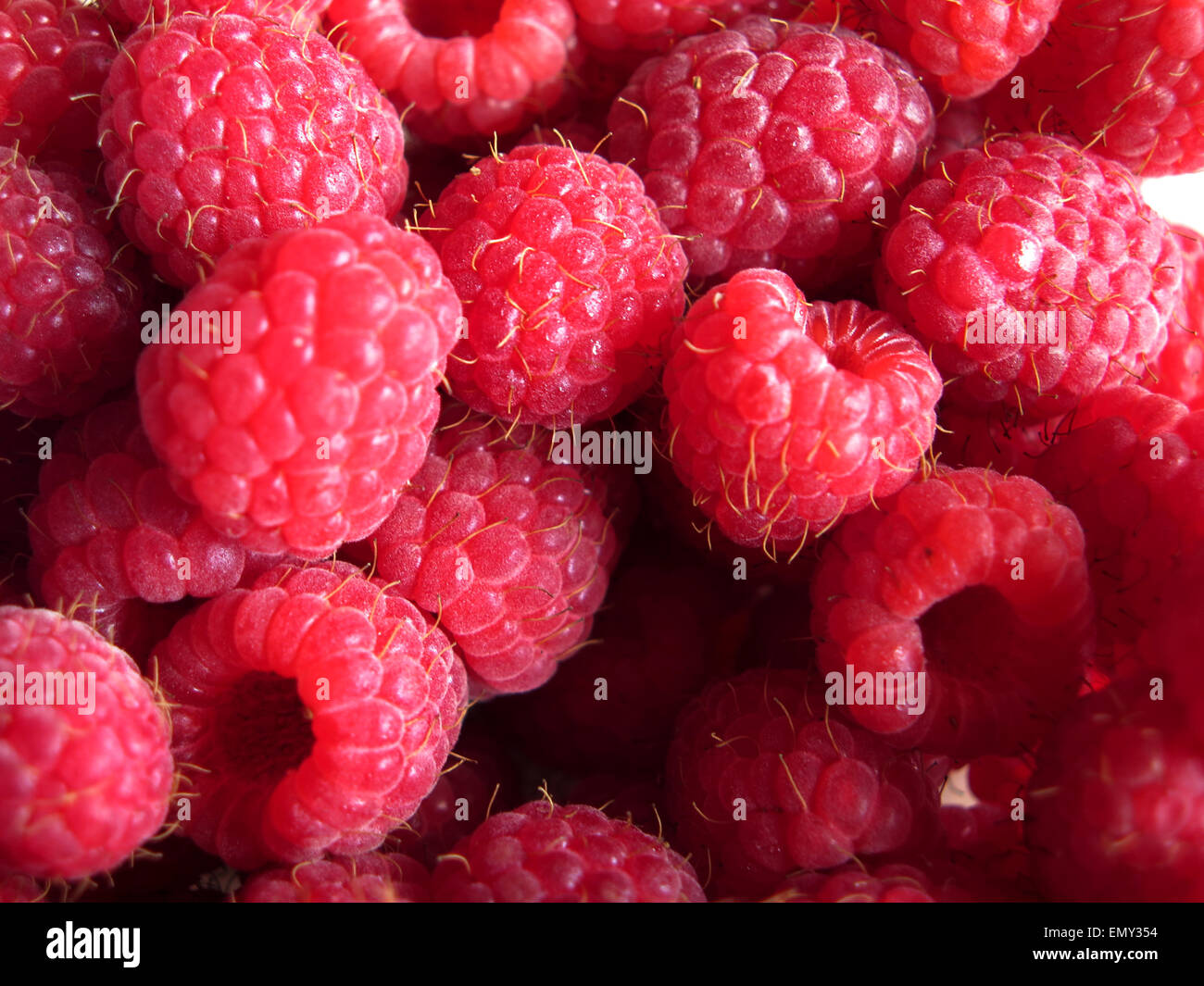 beautiful ripe raspberries fruit background Stock Photo - Alamy