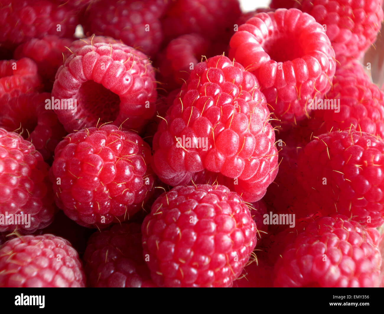 beautiful ripe raspberries fruit background Stock Photo - Alamy