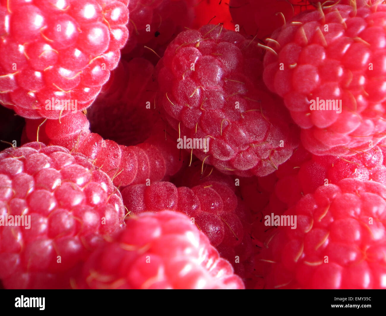 beautiful ripe raspberries fruit background Stock Photo - Alamy