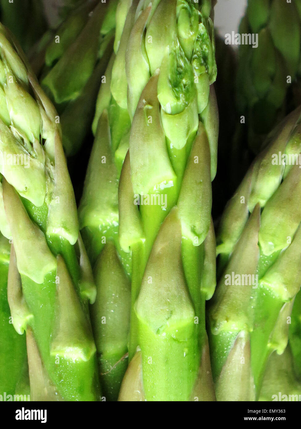Fresh, green asparagus close-up Stock Photo - Alamy