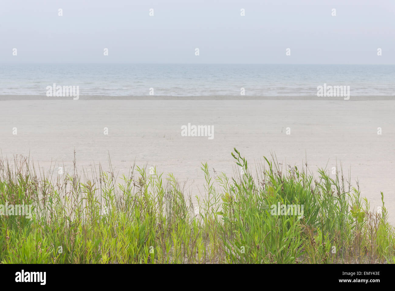 Sandy beach beach grass hi-res stock photography and images - Alamy