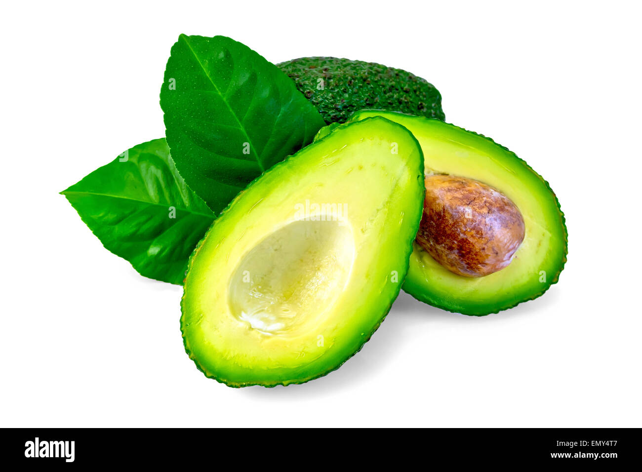 Avocado with leaf and bone Stock Photo - Alamy