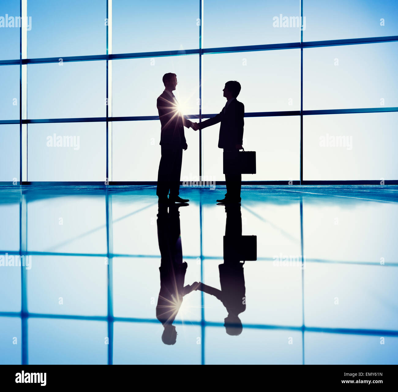 Two Businessmen Handshaking in the Office Stock Photo - Alamy