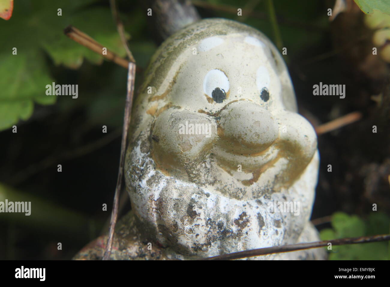 smiling garden gnome in summer Stock Photo - Alamy