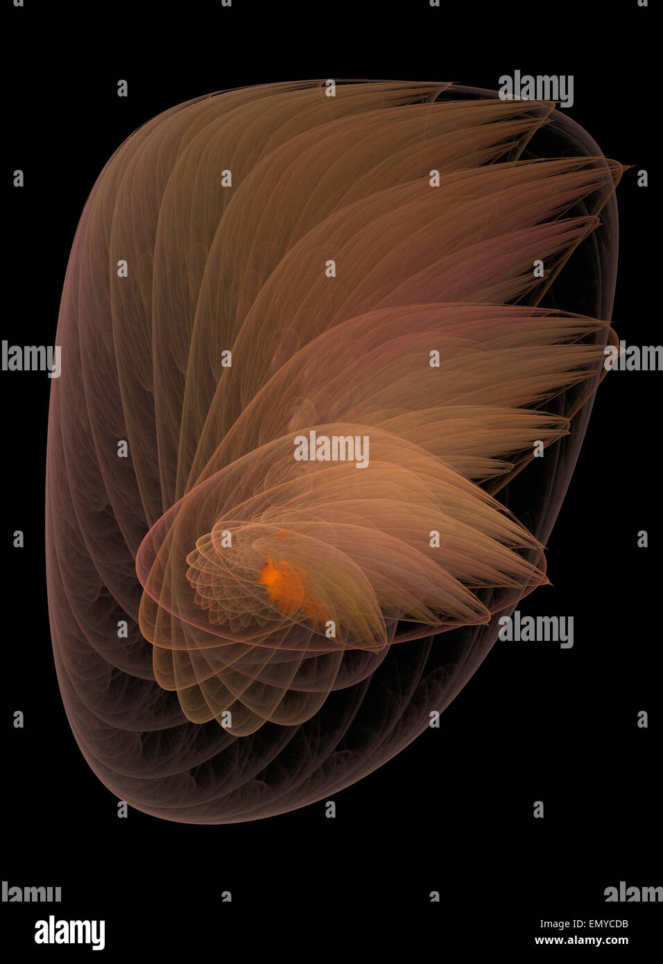 Fractals wings hi-res stock photography and images - Alamy