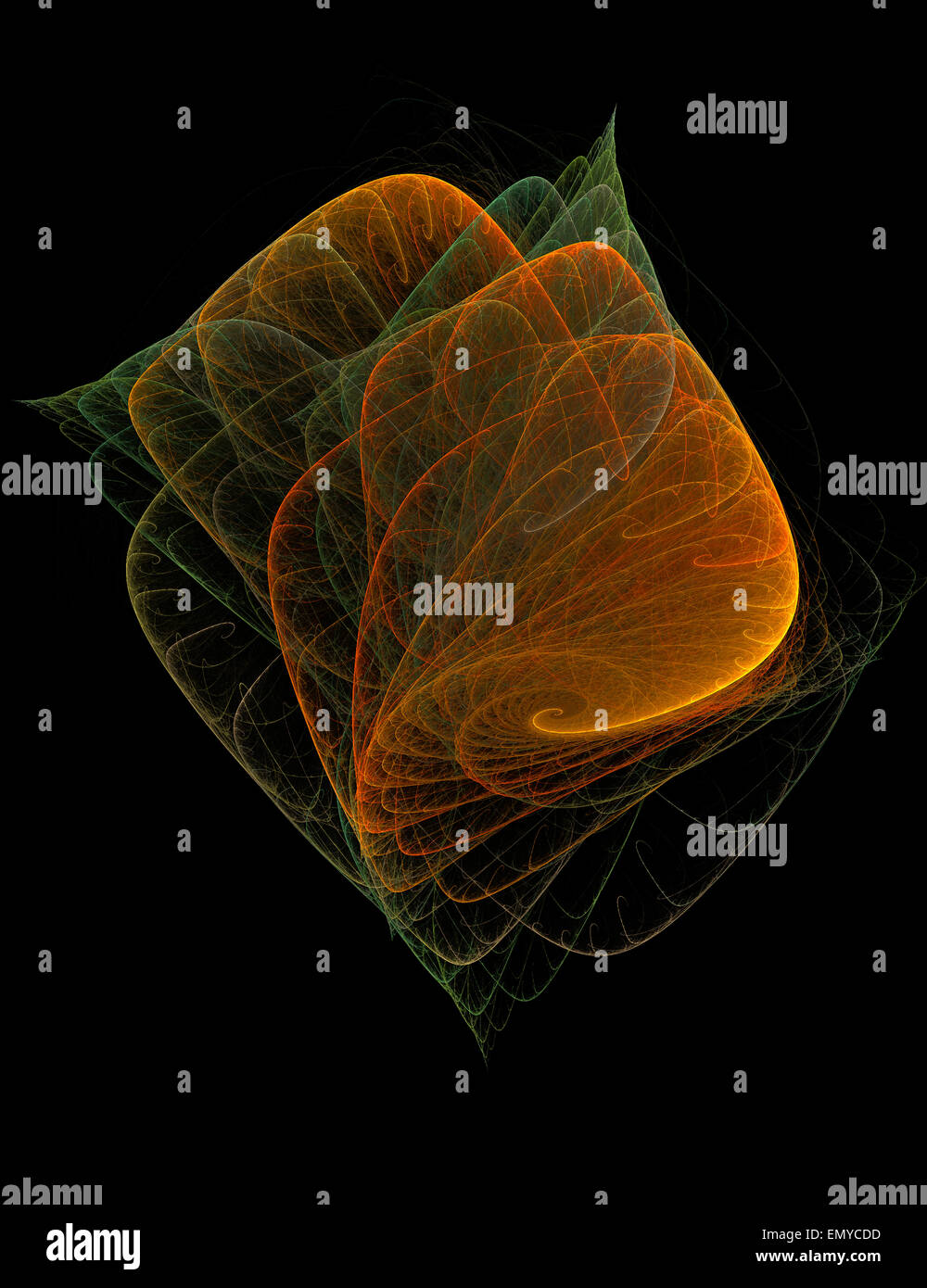 Fractal leaf patterns hi-res stock photography and images - Alamy