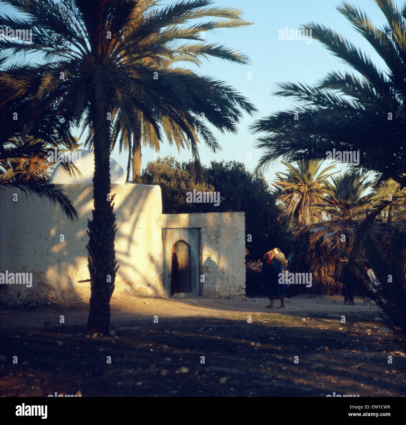 Insel von djerba hi-res stock photography and images - Alamy