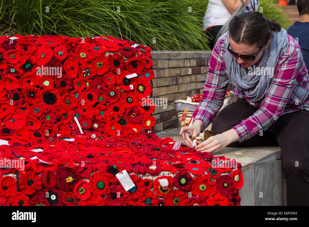 Melbourne, Australia. 24 April 2015. A sea of handmade red poppies in ...