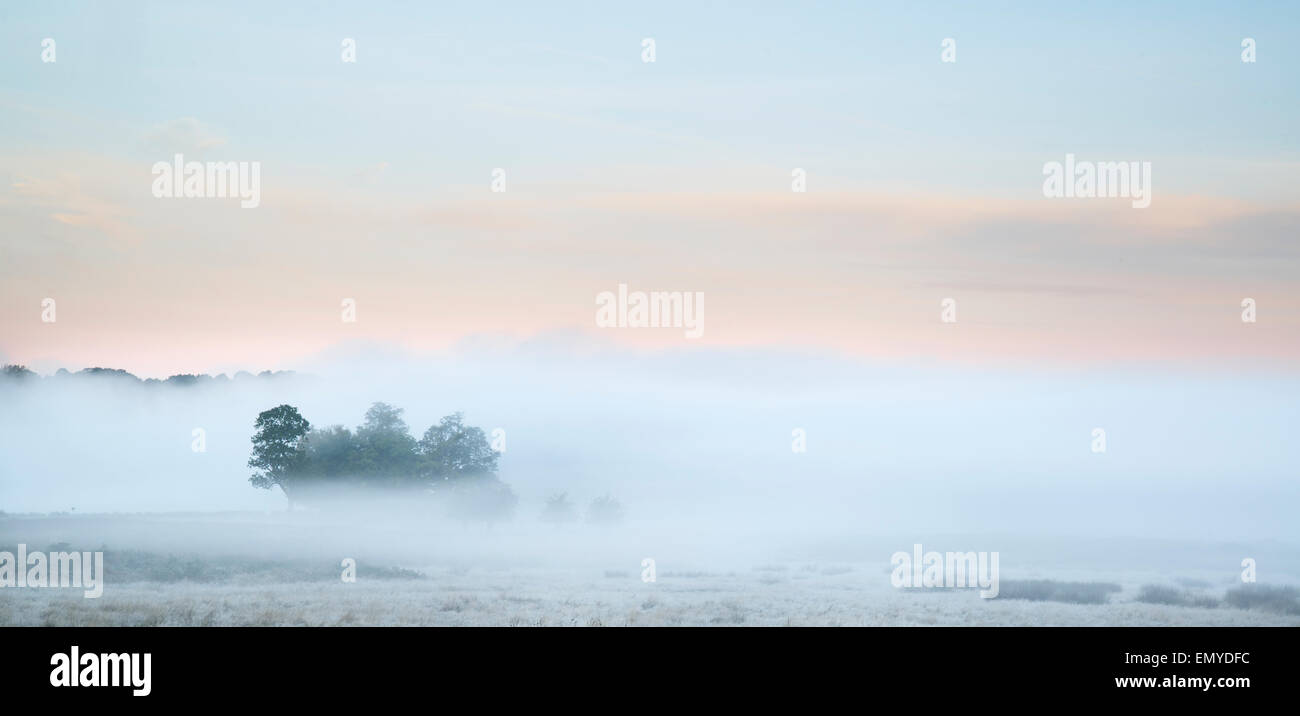 Beautiful thick fog sunrise Autumn Fall landscape over fields with ...