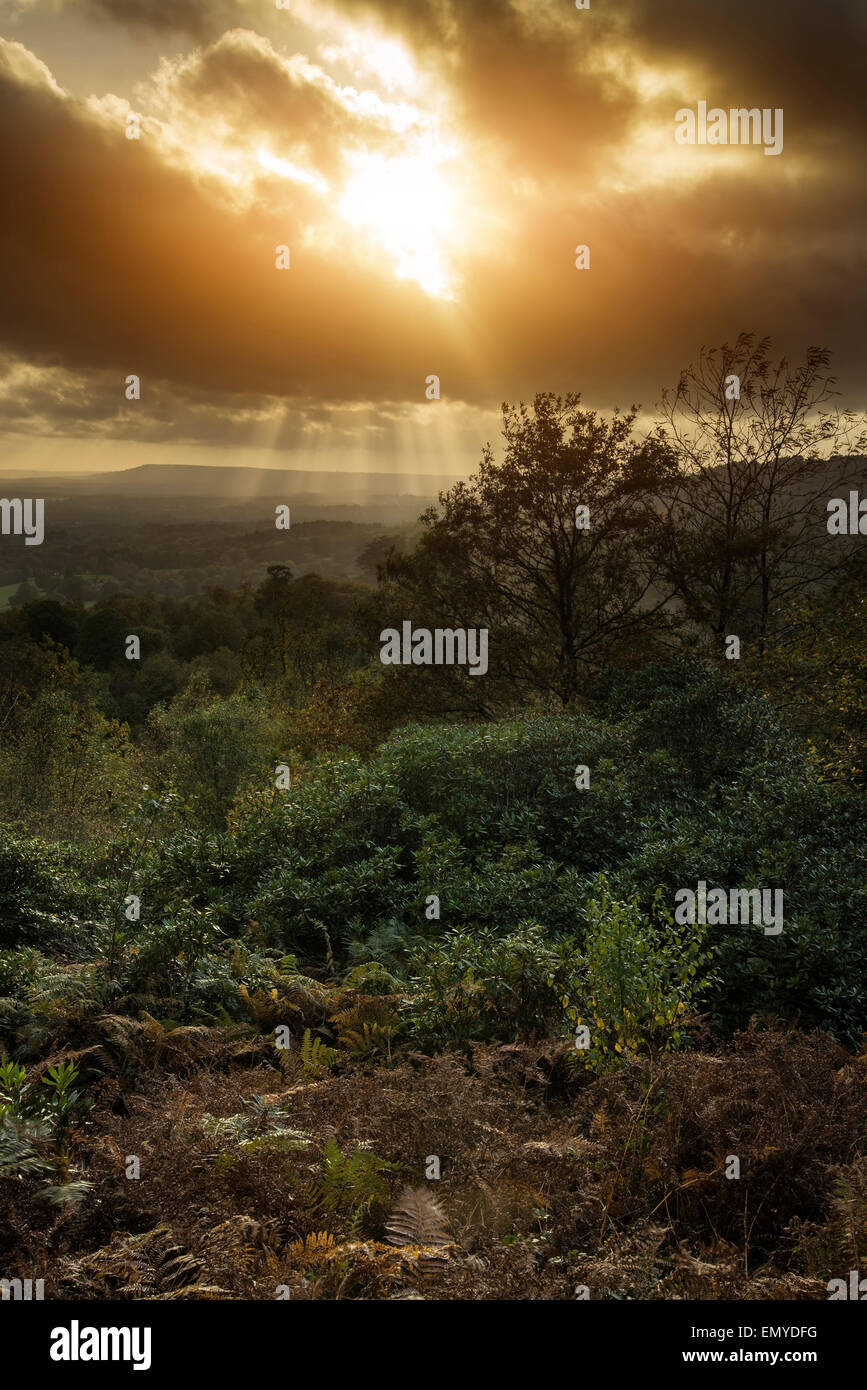 Stunning Autumn Fall sunset over forest landscape with moody dramatic ...