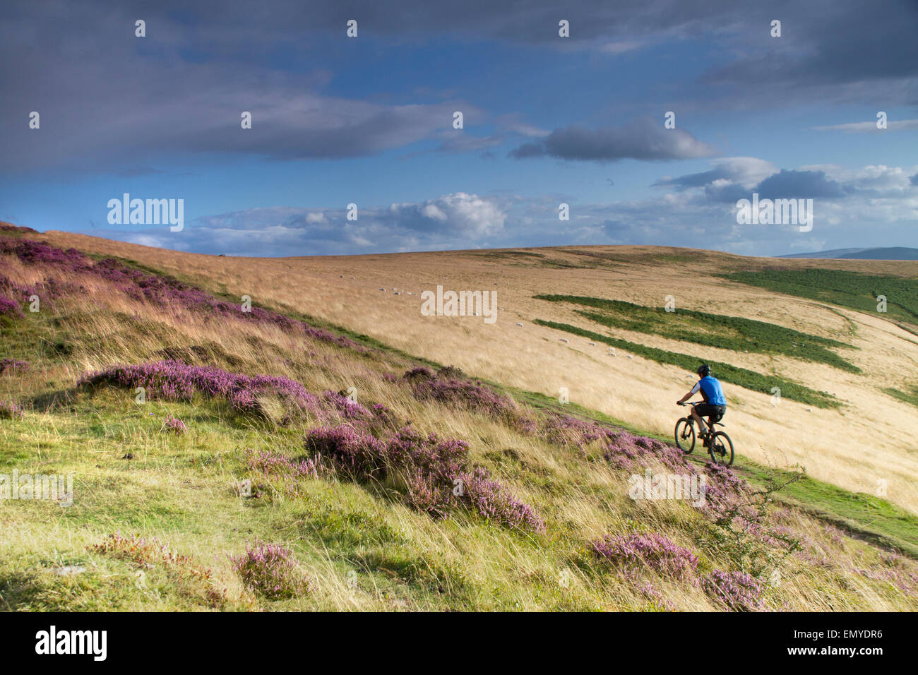 Man bike uphill hi-res stock photography and images - Alamy