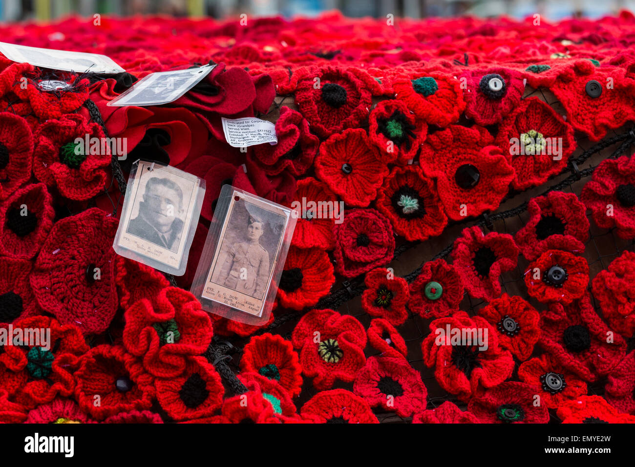 Gallipoli centenary commemorations hi-res stock photography and images ...