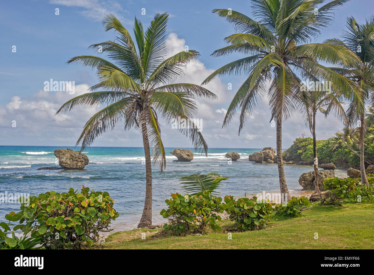 Bathsheba Beach Barbados West Indies Stock Photo - Alamy