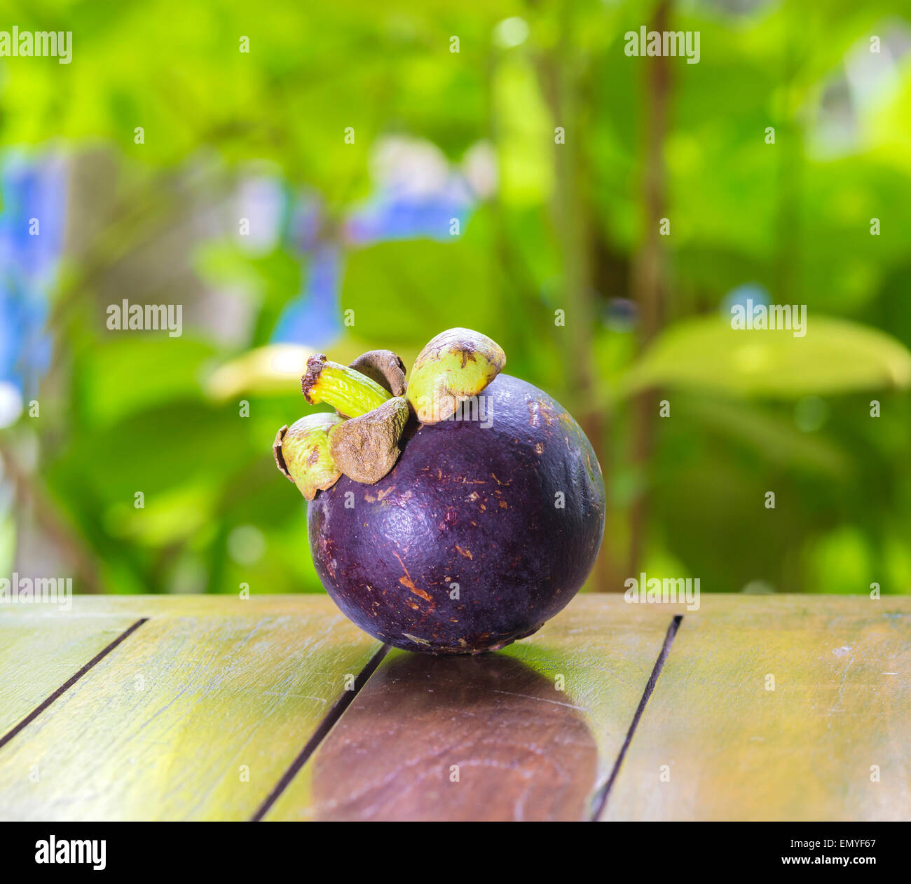 Mangostine hi-res stock photography and images - Alamy
