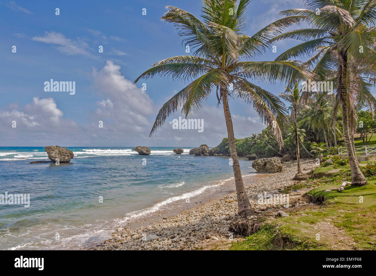 Bathsheba Beach Barbados West Indies Stock Photo - Alamy