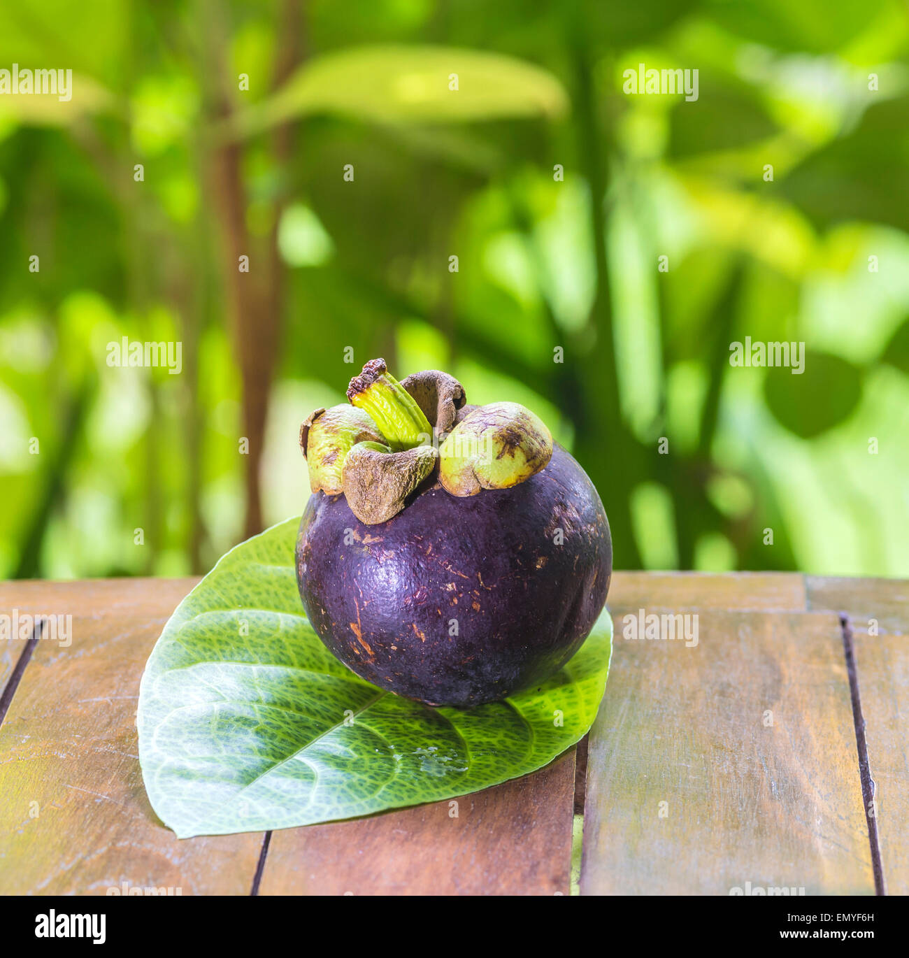 Mangostine hi-res stock photography and images - Alamy
