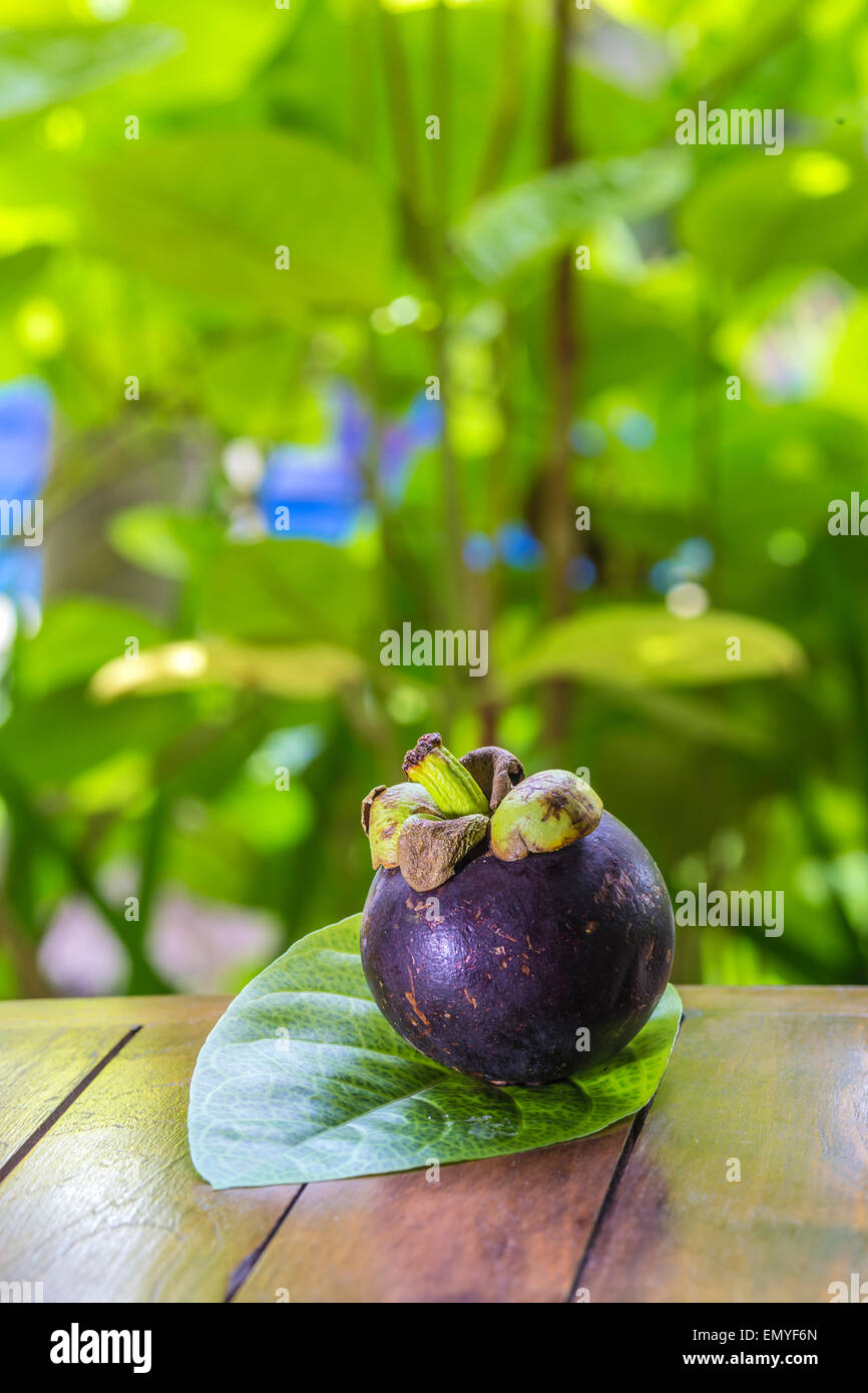 Mangostine hi-res stock photography and images - Alamy