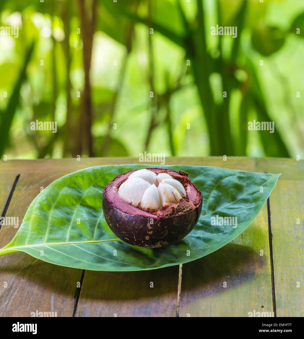 Mangostine hi-res stock photography and images - Alamy