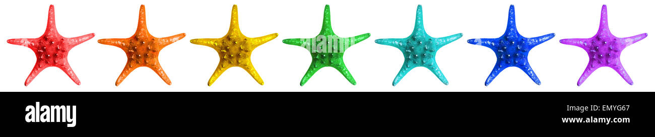 Rainbow colors set of beautiful starfish isolated on white backg Stock ...