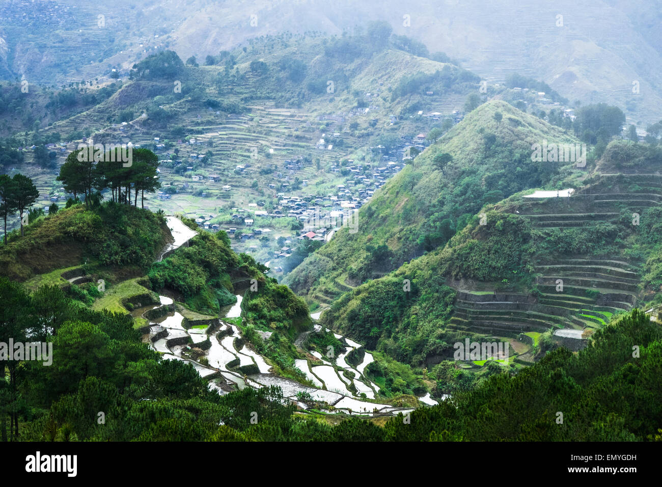 Amazing panorama view of rice terraces fields in Ifugao province ...