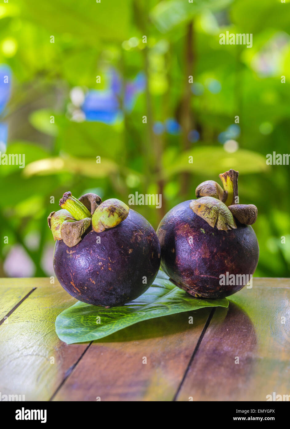 Mangostine hi-res stock photography and images - Alamy
