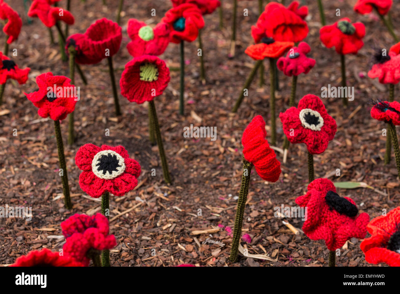 Melbourne, Australia. 24 April 2015. A sea of handmade red poppies in ...