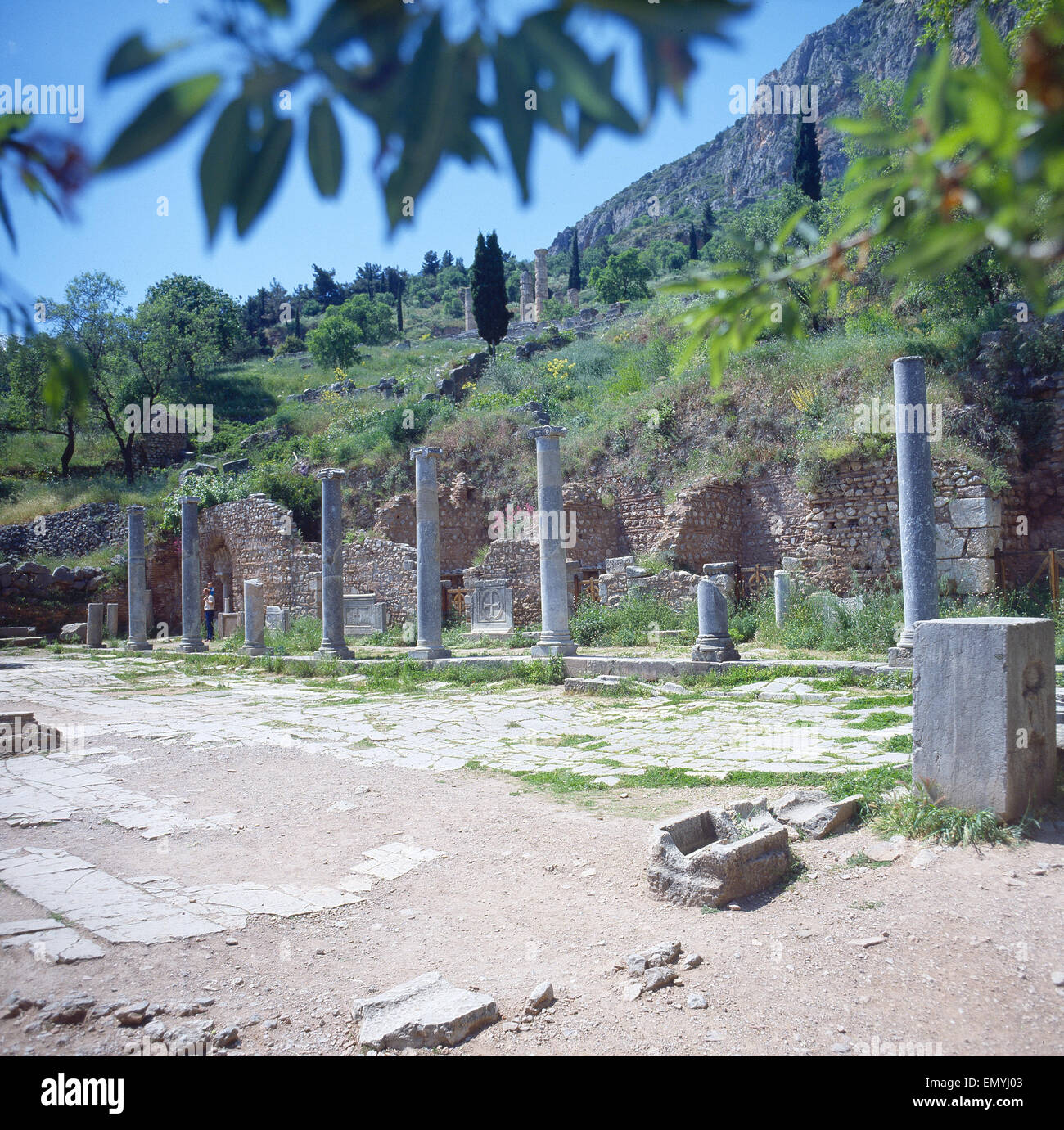 Greece, Delphi, ruins of Oracle`s Temple Stock Photo - Alamy