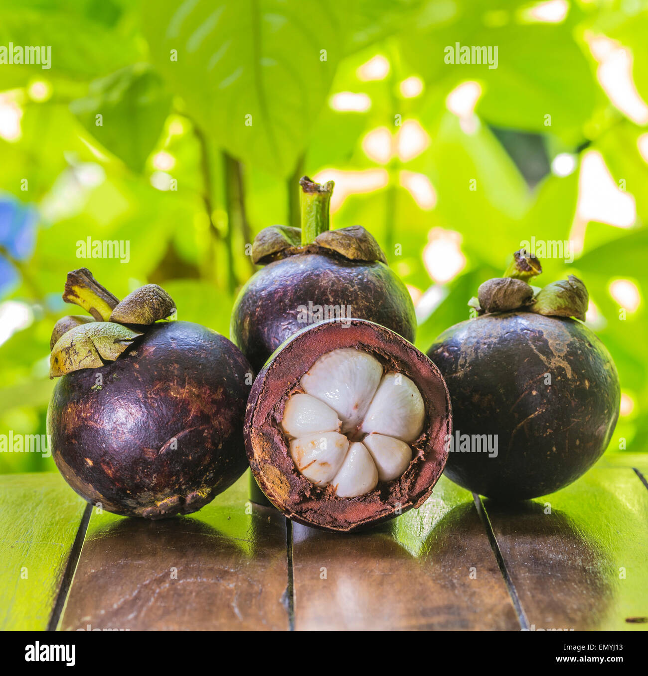Mangostine fruit hi-res stock photography and images - Alamy