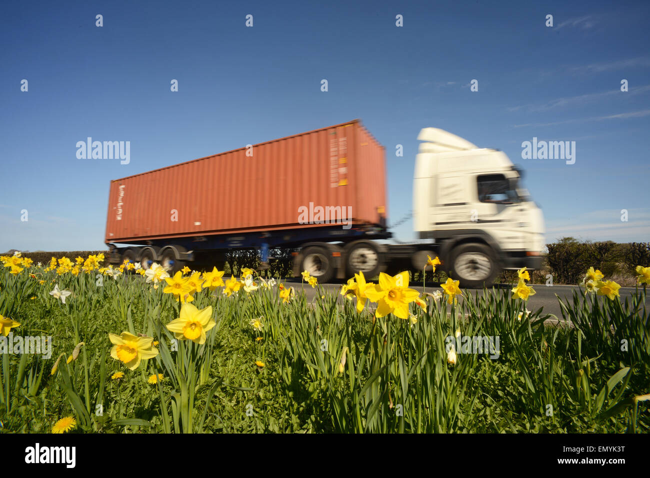 lorry passing roadside daffodils at springtime yorkshire united kingdom ...