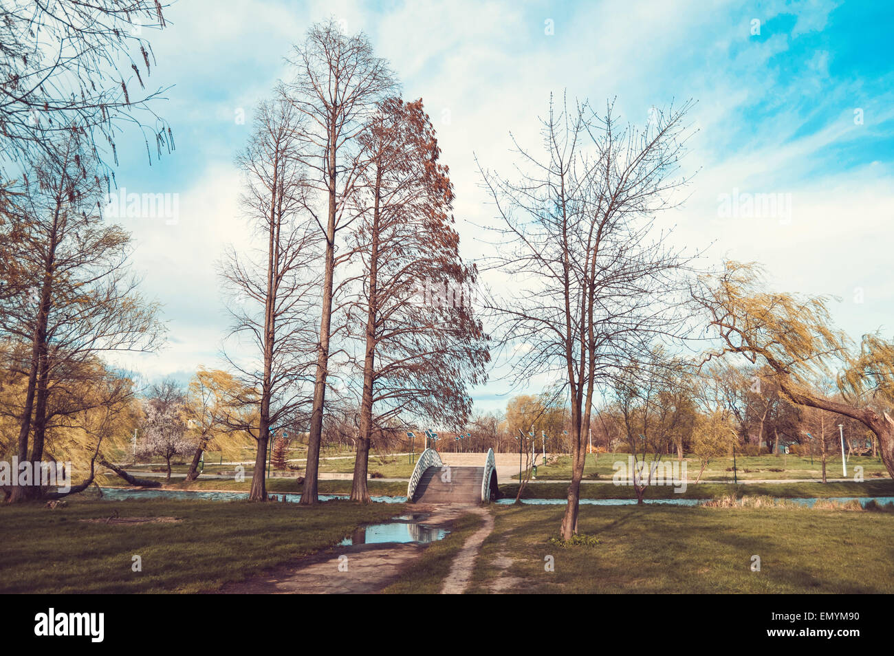 View in a park with bridge and trees near a lake Stock Photo - Alamy