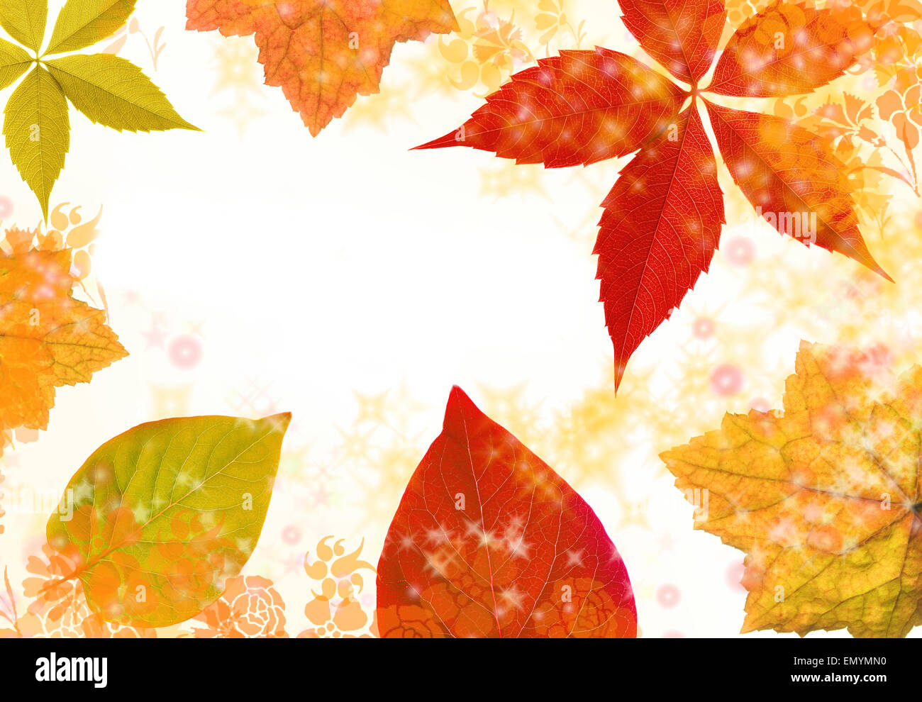 Autumn leaf border Stock Photo - Alamy