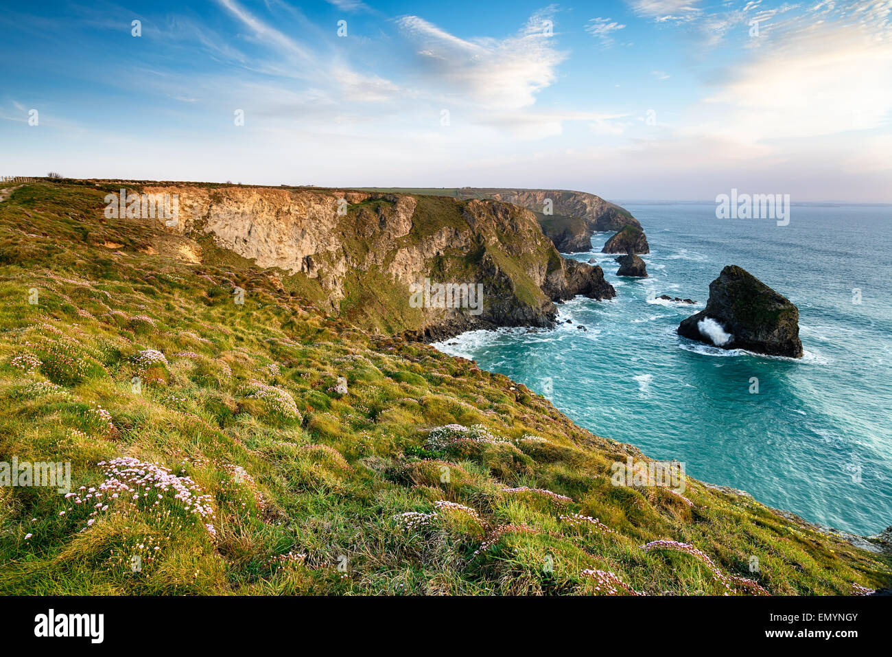 Clifftop at Pentire Steps and looking out at the sea stacks of ...