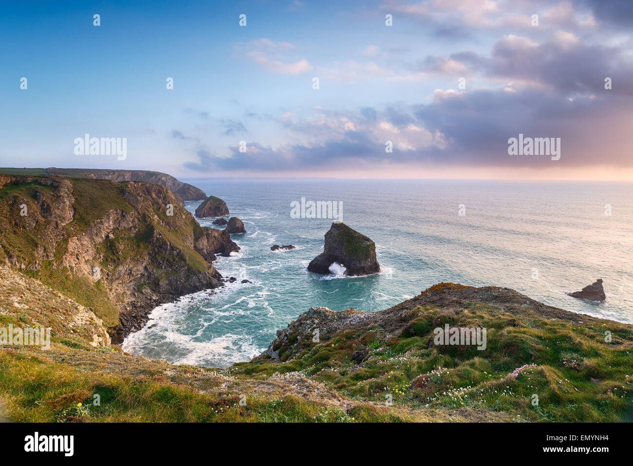 Cornish clifftops at Pentire Steps and looking out at the neighbouring ...