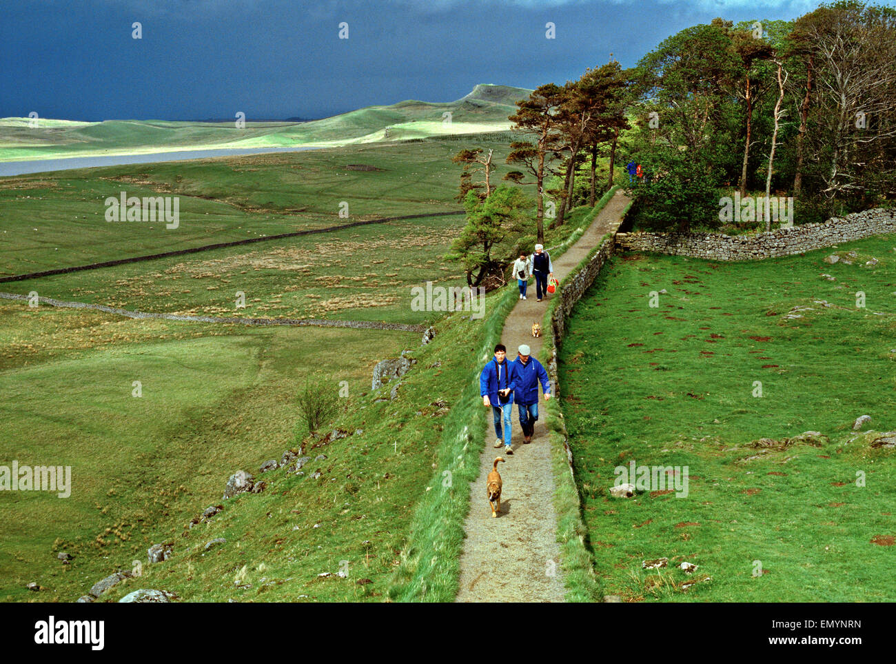 People on Hadrian's wall near Housteads, England, UK Stock Photo - Alamy