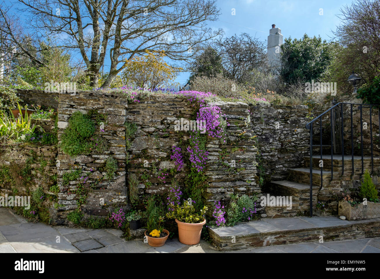An old stone wall in a Devon garden Stock Photo - Alamy