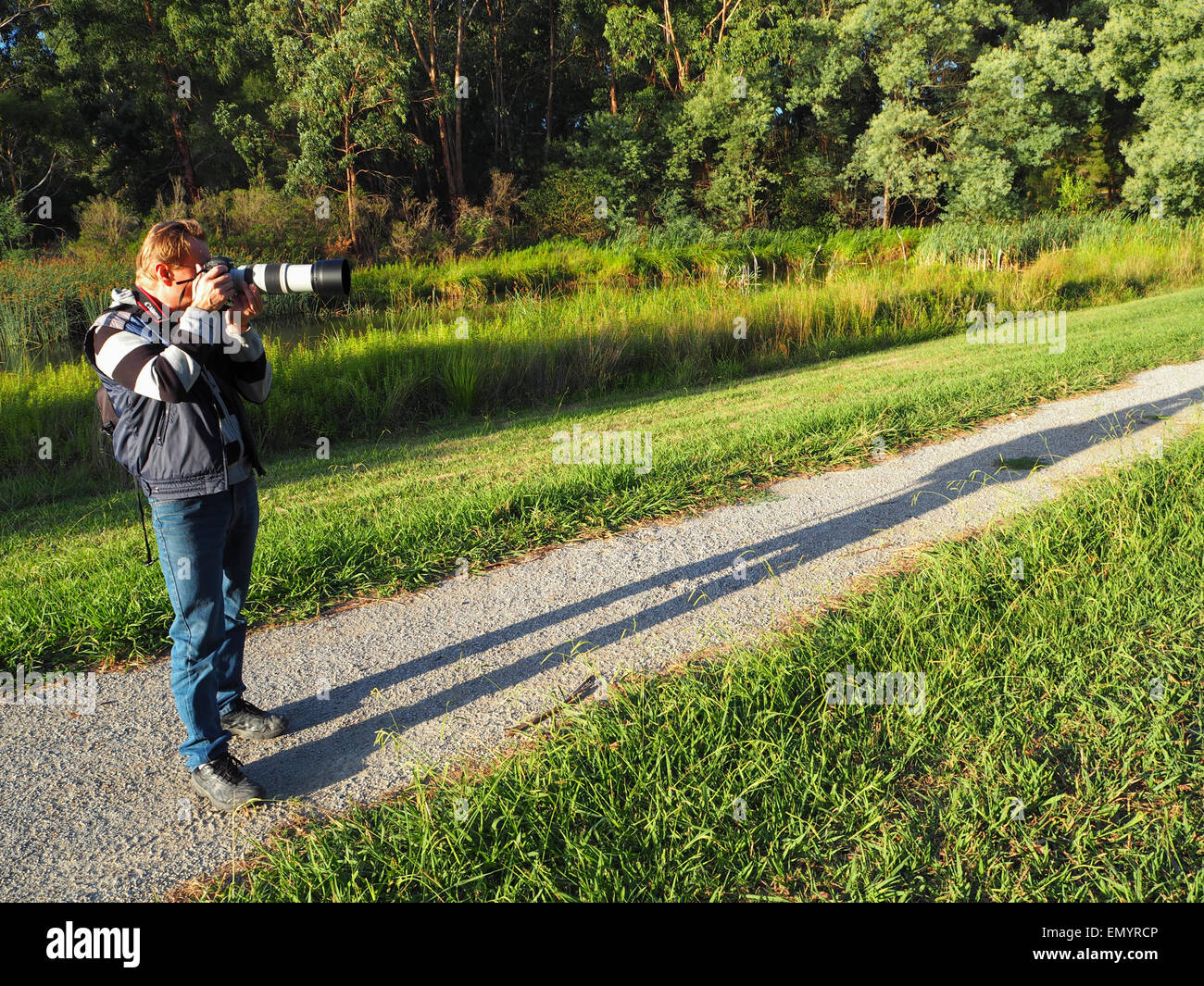 Zoom wildlife hi-res stock photography and images - Alamy