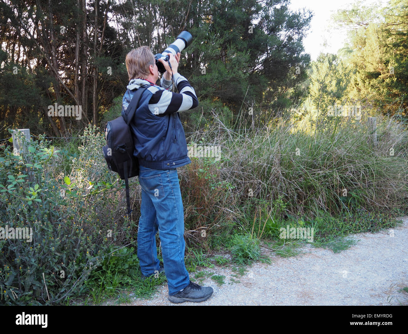 Zoom wildlife hi-res stock photography and images - Alamy