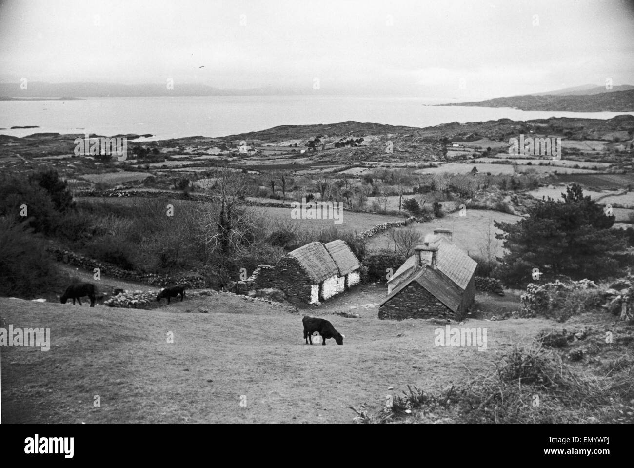 Ireland rural 1930s hi-res stock photography and images - Alamy