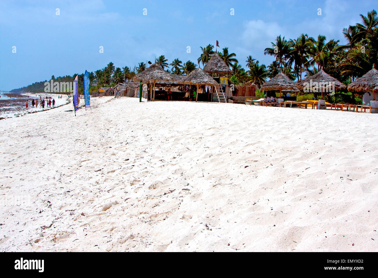 zanzibar beach seaweed in indian ocean tanzania sand isle sky and boat ...